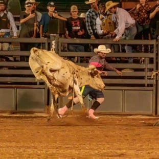 Broncs and Bulls Rodeo - Tooele County Fair